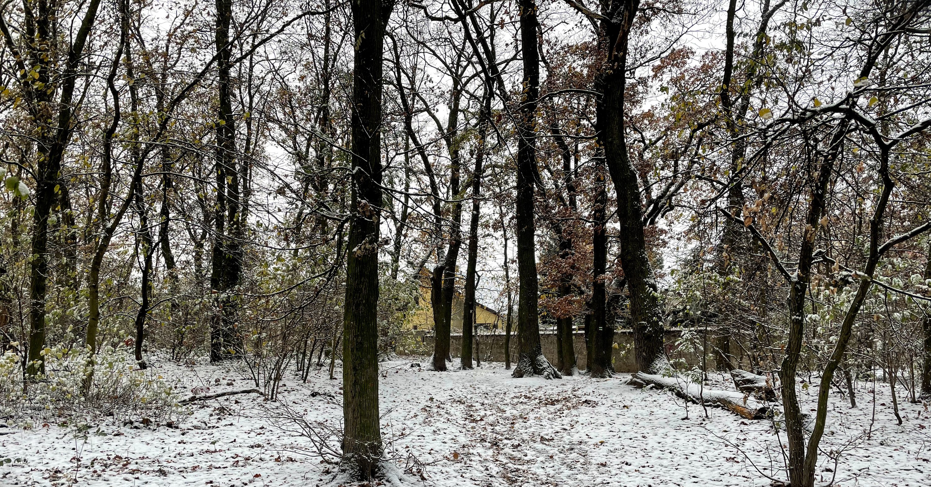 Preparation for Tour Divide 2024, The Why